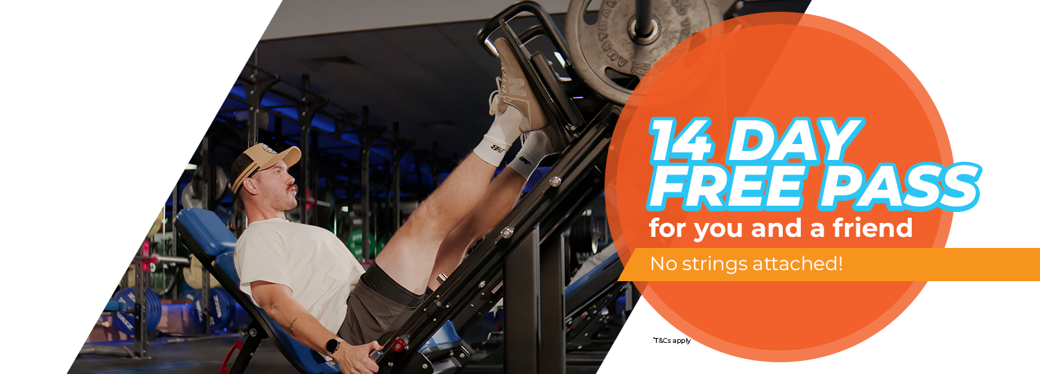 Gym Redlynch | Weights, Cardio, Personal Training & More